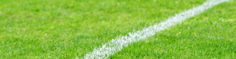 Turf, Trust, Co-Creation and Collective Impact - Synergy Commons